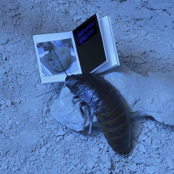 Mathias Clottu, Mathilde Agius (photographie), Sleeping Beauties | Tombolo